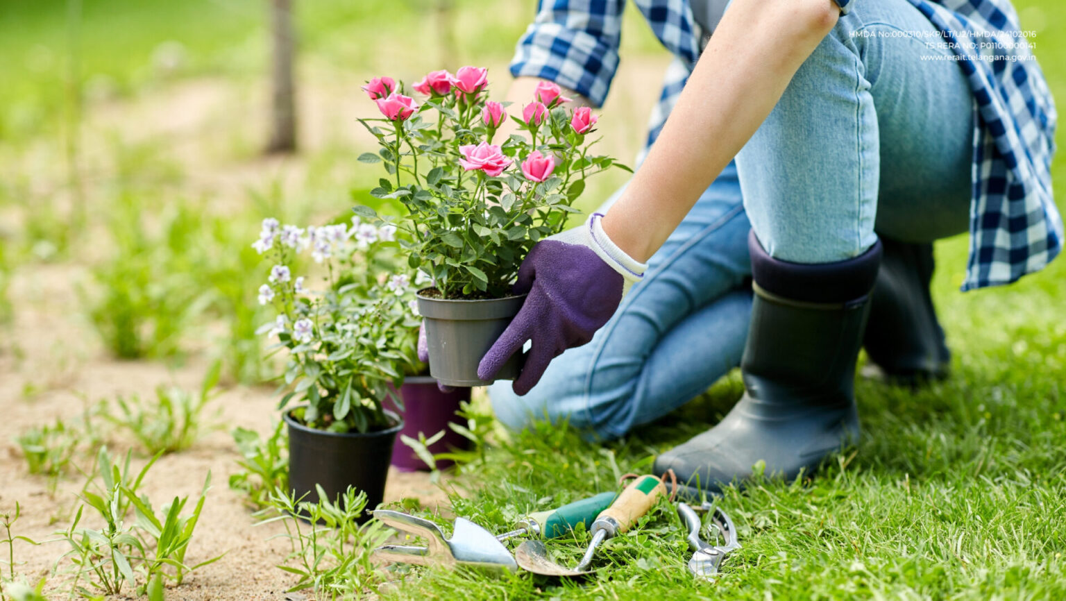 Landscaping Ideas for Your Villa | Muppa Indraprastha